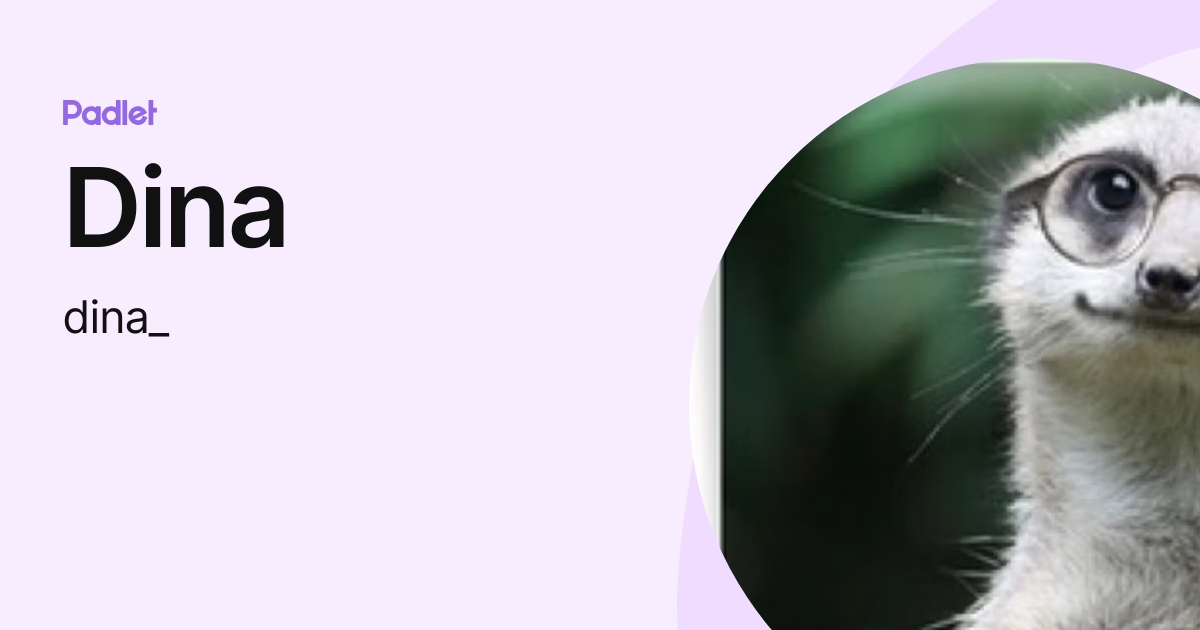 Dina (dina_) profile | Padlet