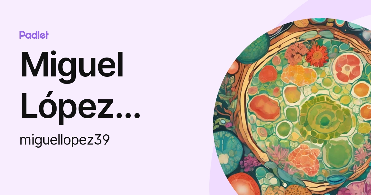 Miguel López Paleta (miguellopez39) profile | Padlet