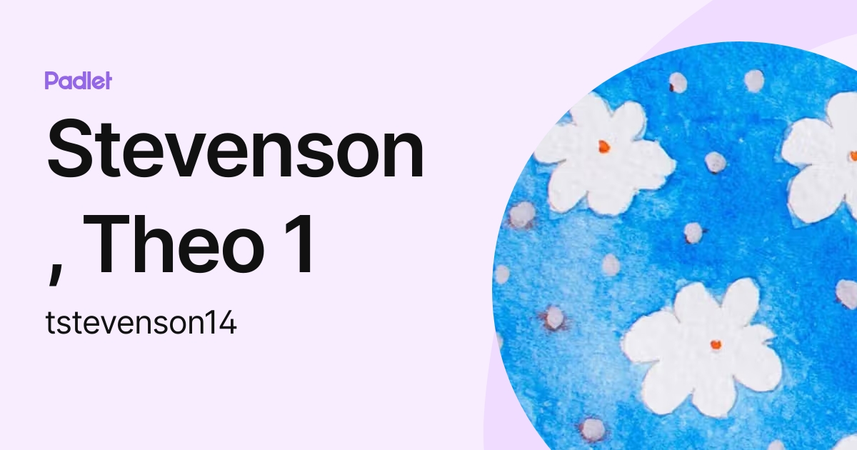 Stevenson, Theo 1 (tstevenson14) profile | Padlet