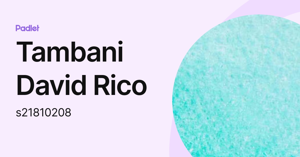 Tambani David Rico (s21810208) profile | Padlet