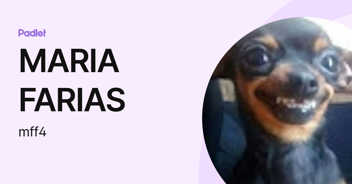 MARIA FARIAS (mff4) profile | Padlet