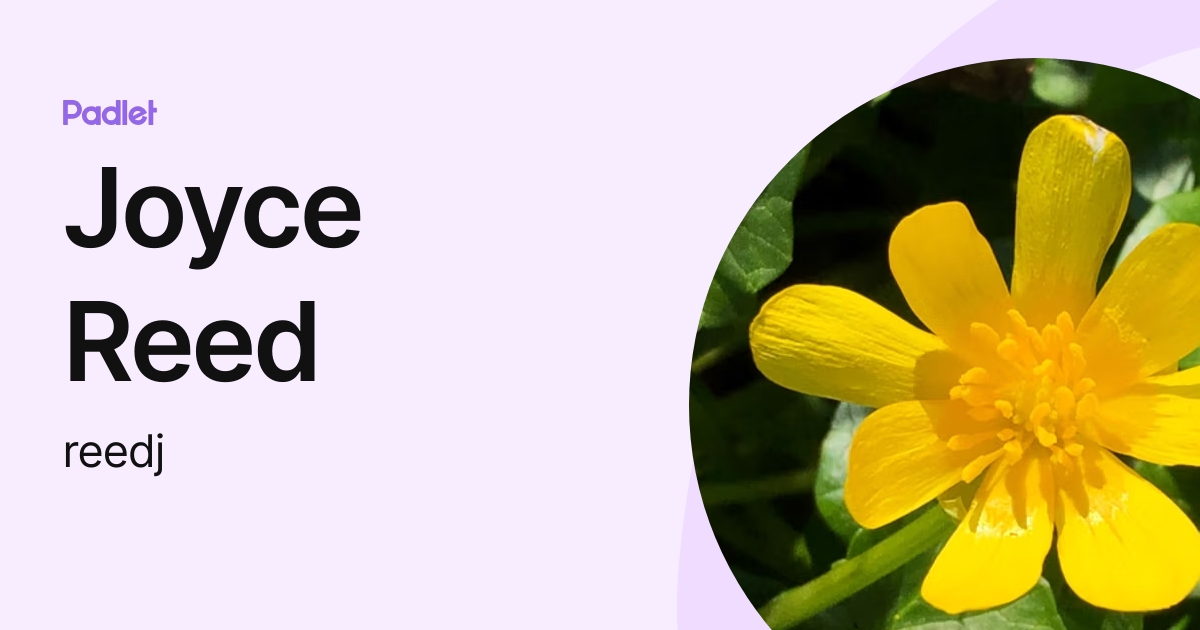 Joyce Reed (reedj) profile | Padlet