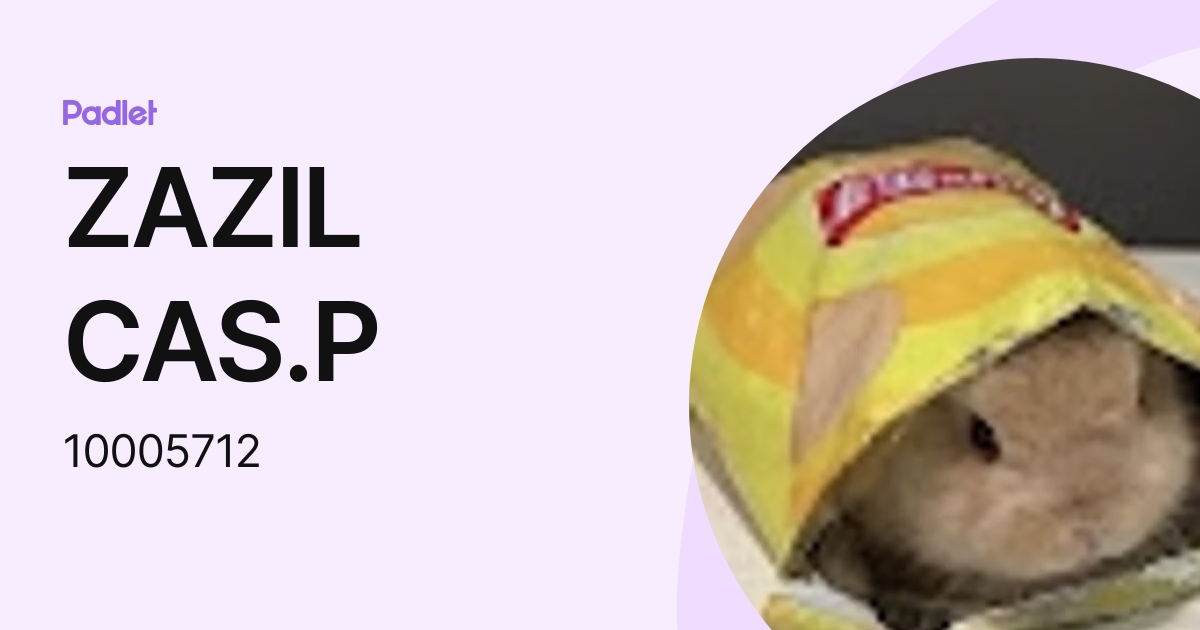 ZAZIL CAS.P (10005712) profile | Padlet