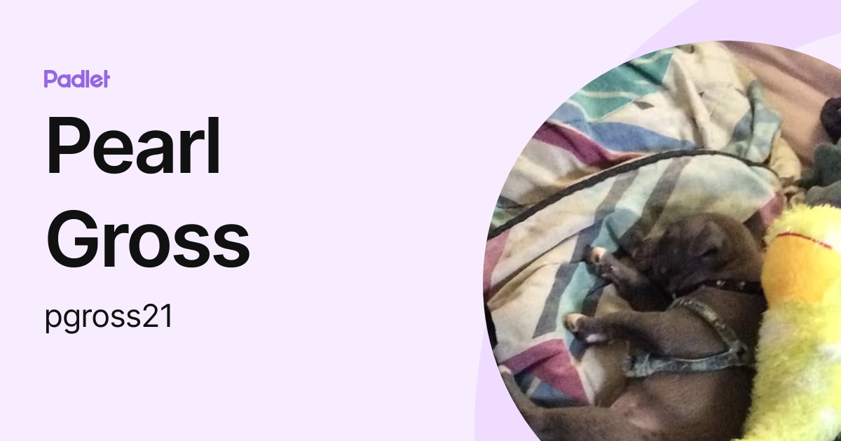 Pearl Gross (pgross21) profile | Padlet