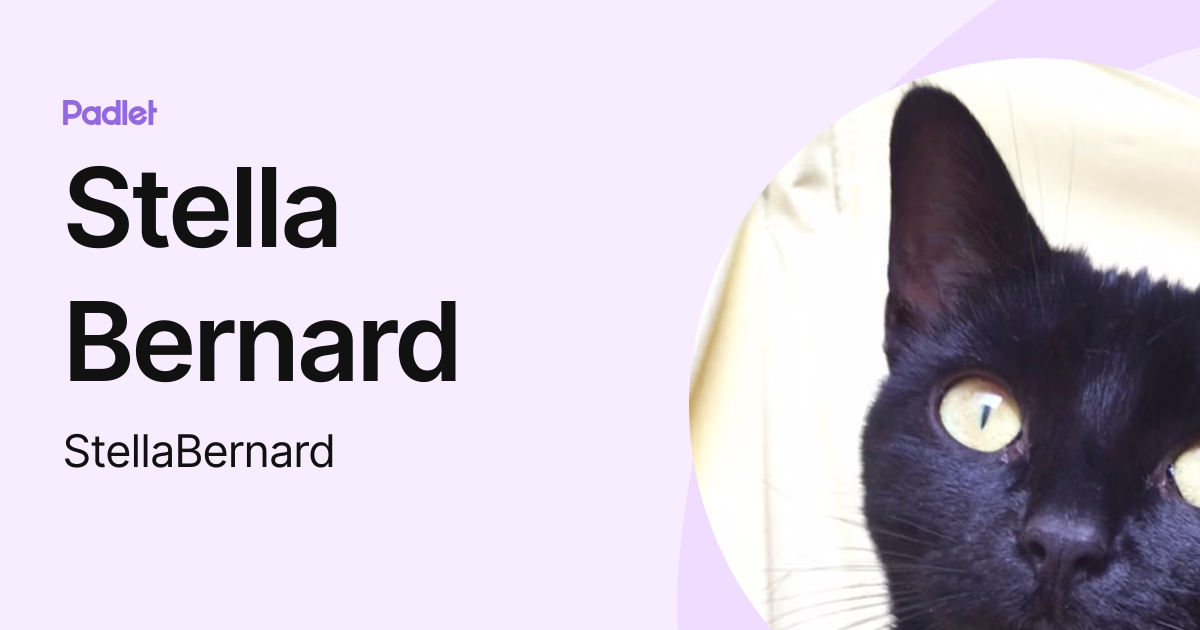 Stella Bernard (StellaBernard) profile | Padlet