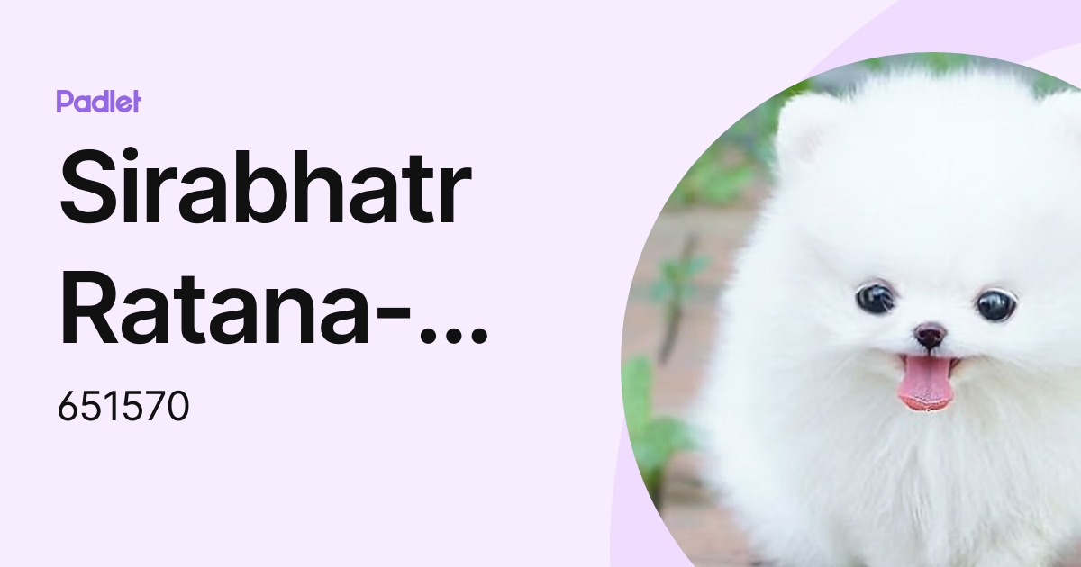 Sirabhatr Ratana-Rueangsri - Dolphin Sr PS (1553) (651570) profile | Padlet