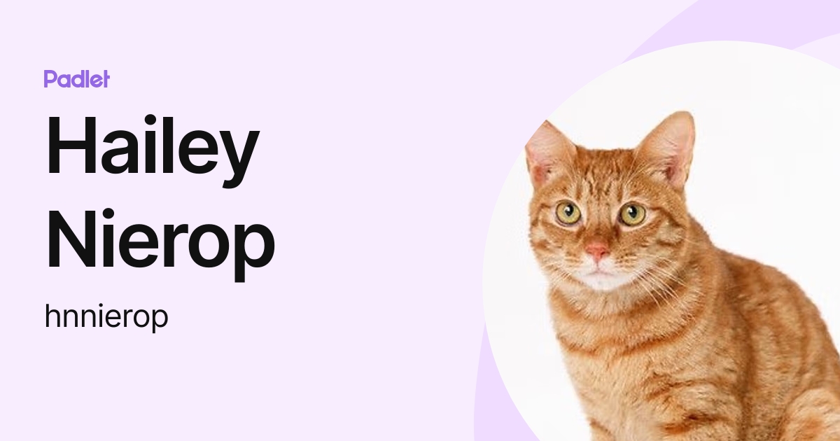 Hailey Nierop (hnnierop) profile | Padlet