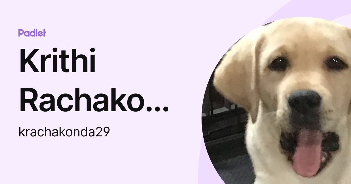 Krithi Rachakonda (krachakonda29) profile | Padlet