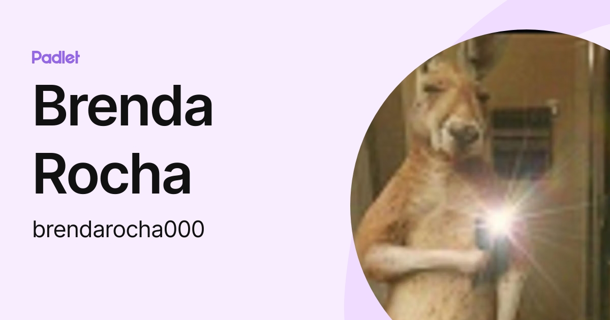 Brenda Rocha (brendarocha000) profile | Padlet