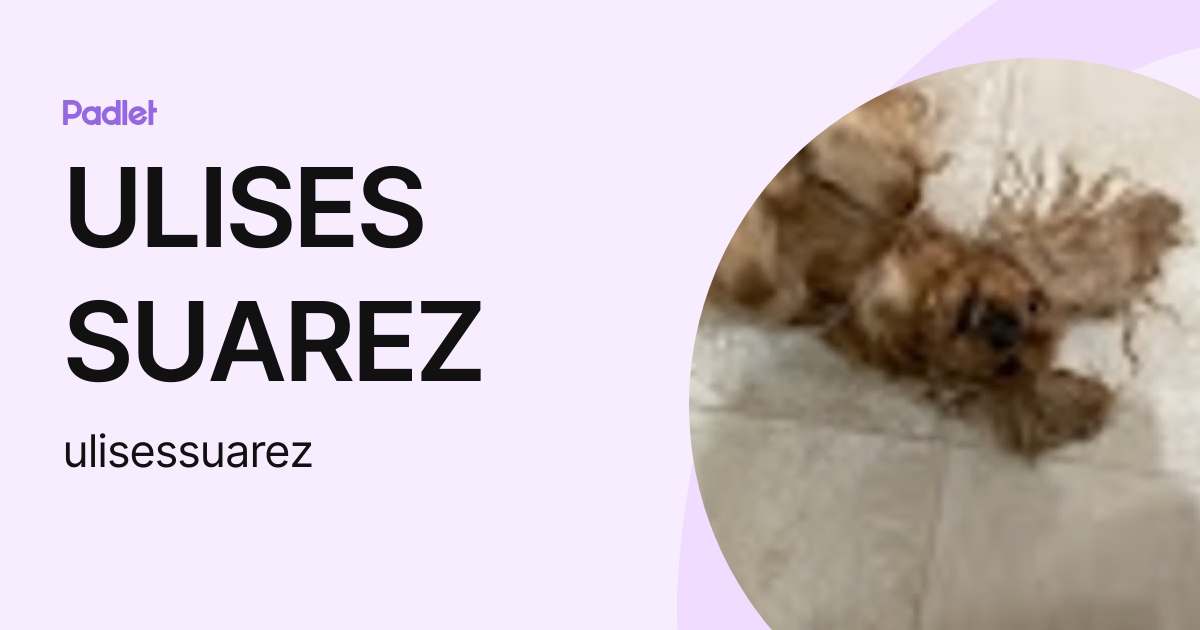 ULISES SUAREZ (ulisessuarez) profile | Padlet