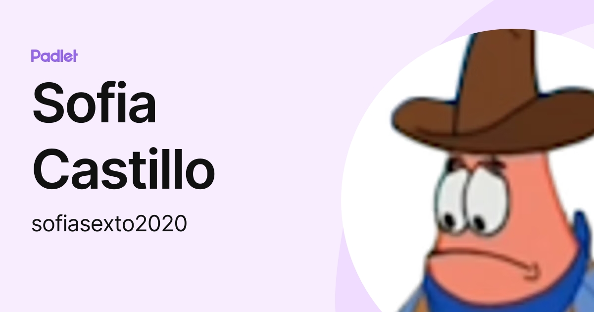 Sofia Castillo (sofiasexto2020) profile | Padlet