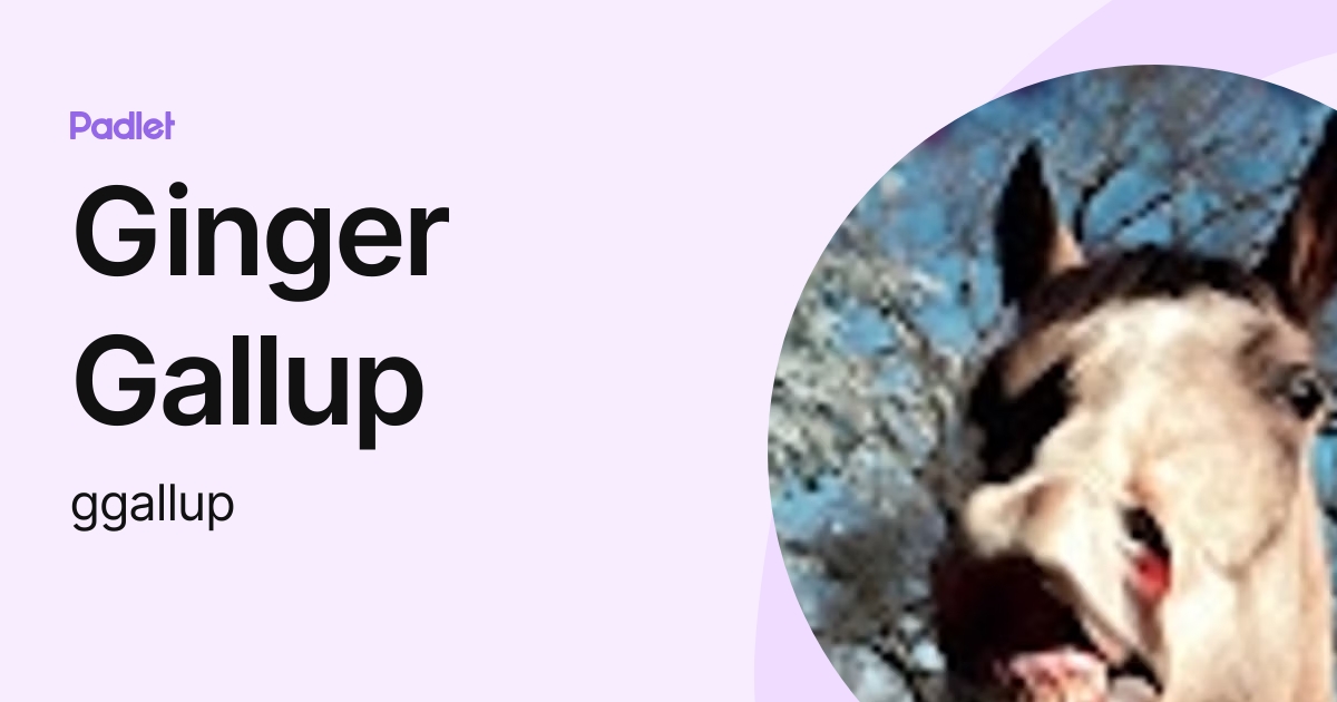 Ginger Gallup (ggallup) profile | Padlet