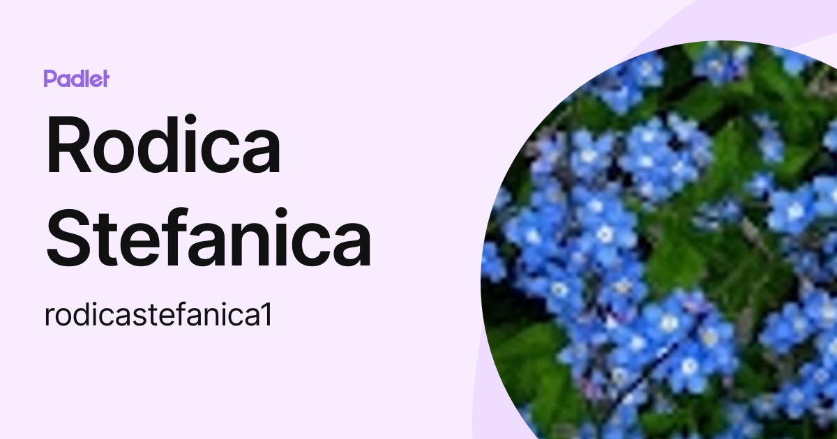 Rodica Stefanica (rodicastefanica1) profile | Padlet