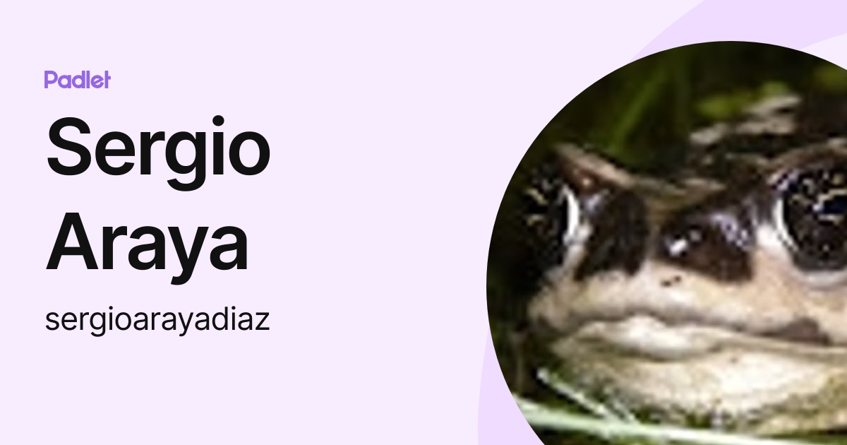 Sergio Araya (sergioarayadiaz) profile | Padlet