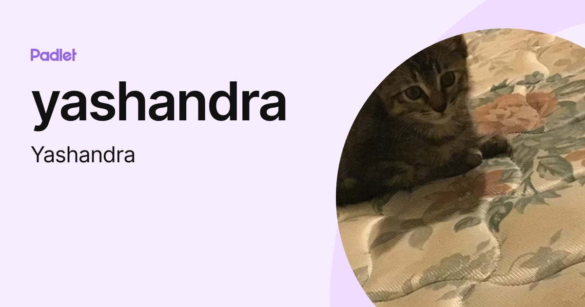 yashandra (Yashandra) profile | Padlet