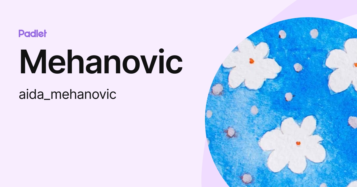 Mehanovic (aida_mehanovic) profile | Padlet