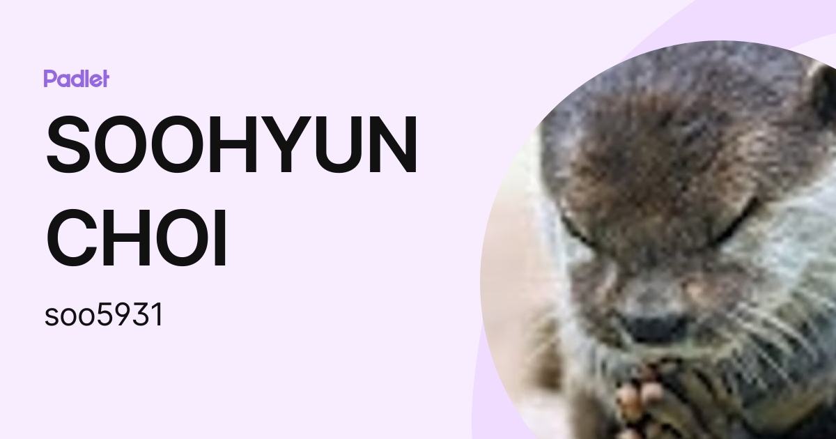 SOOHYUN CHOI (soo5931) profile | Padlet