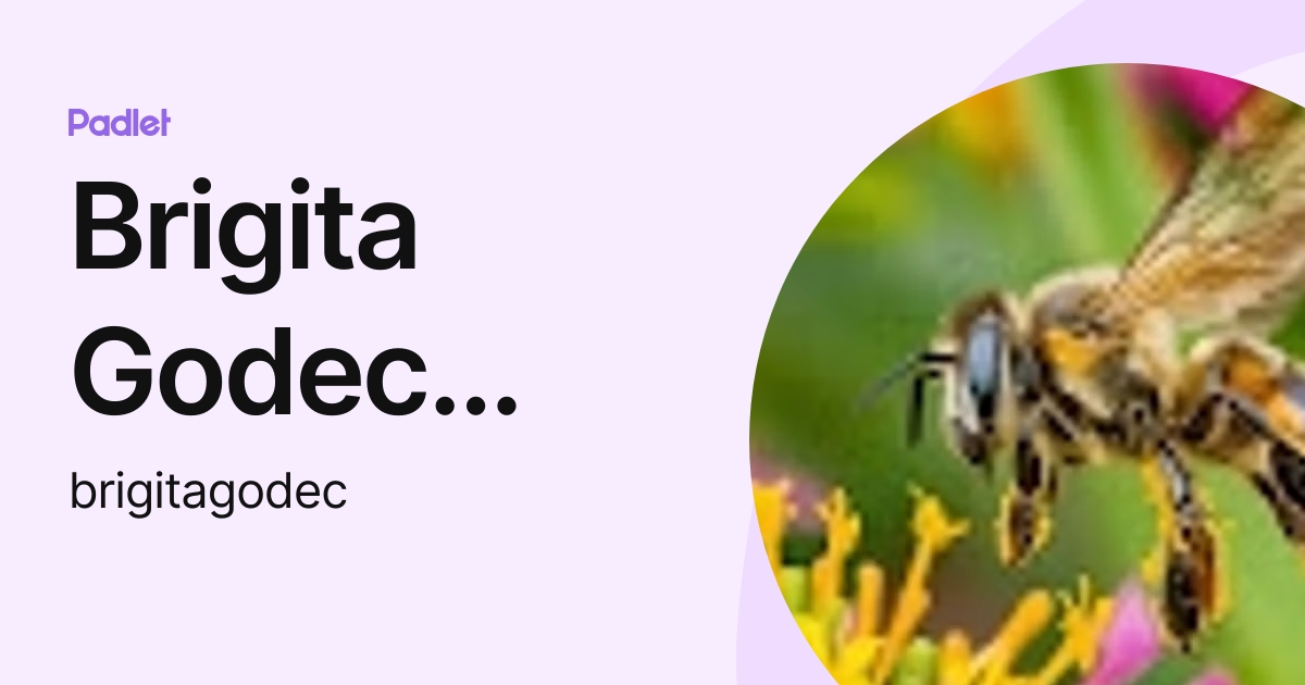 Brigita Godec Kopčič (brigitagodec) profile | Padlet
