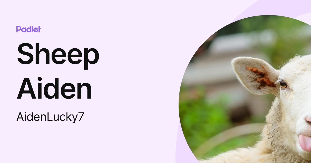 Sheep Aiden (AidenLucky7) profile | Padlet