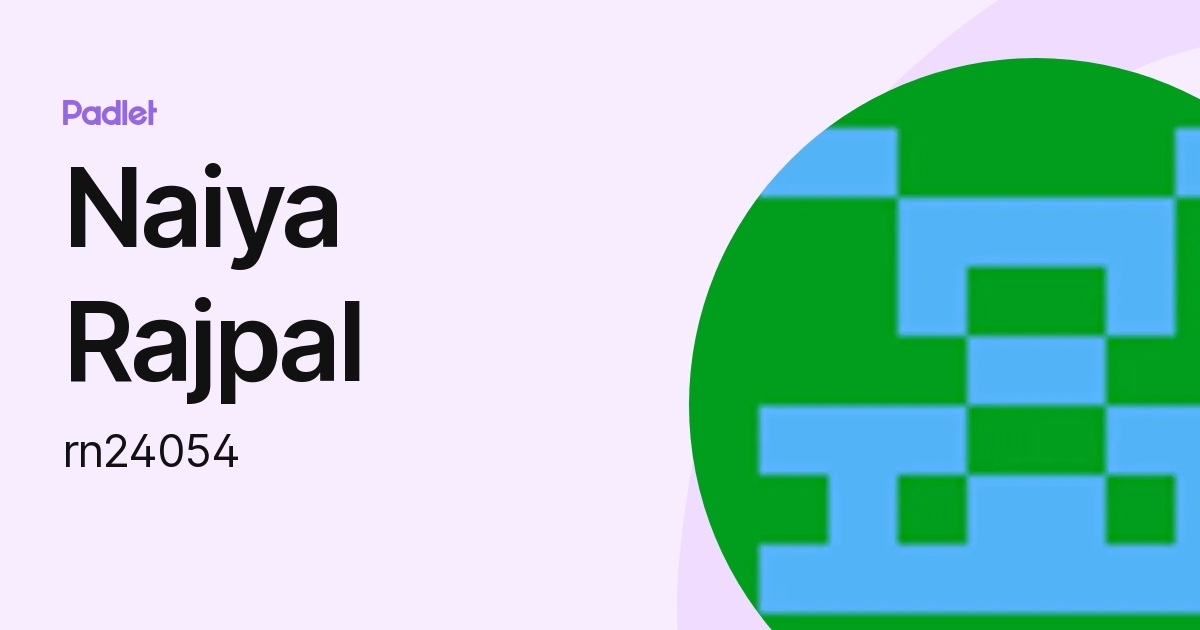 Naiya Rajpal (rn24054) profile | Padlet