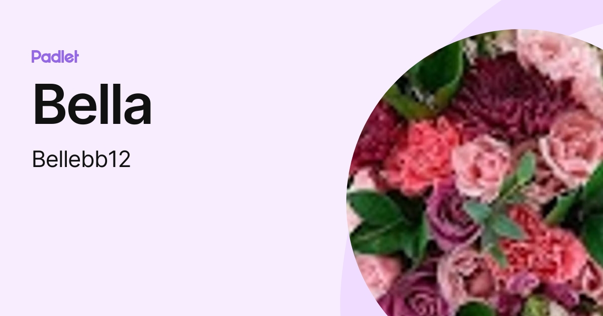 Bella (Bellebb12) profile | Padlet