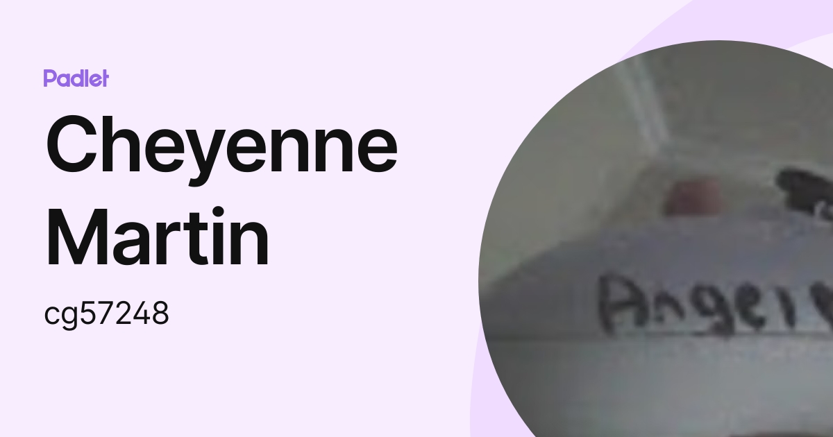Cheyenne Martin (cg57248) profile | Padlet