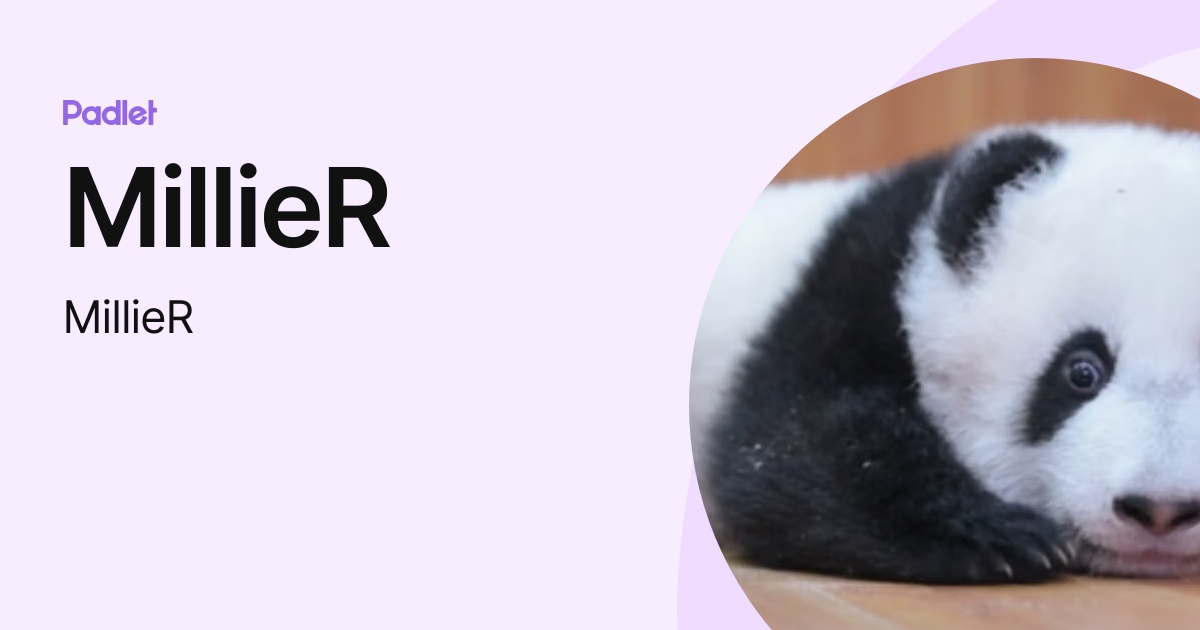 MillieR (MillieR) profile | Padlet