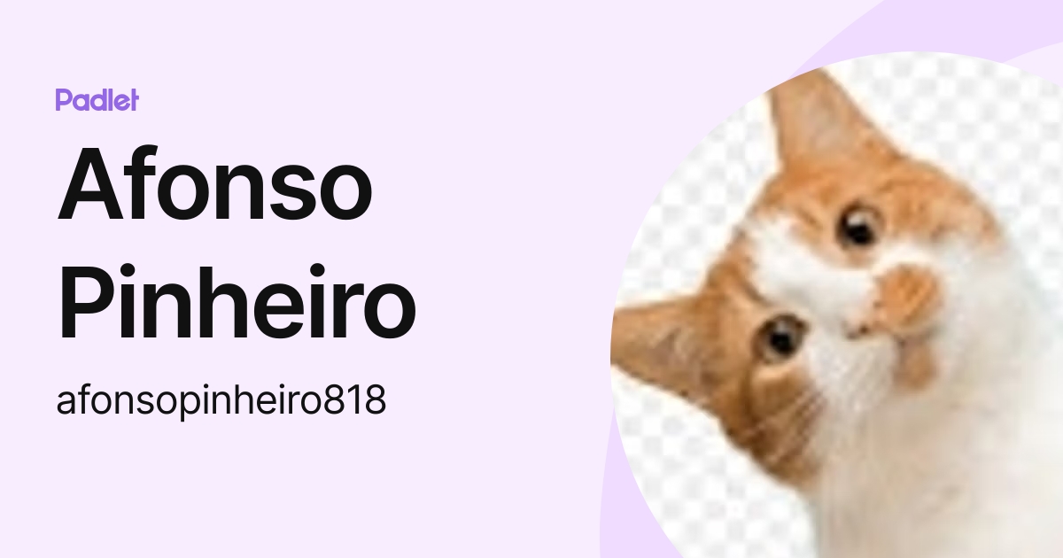 Afonso Pinheiro (afonsopinheiro818) profile | Padlet