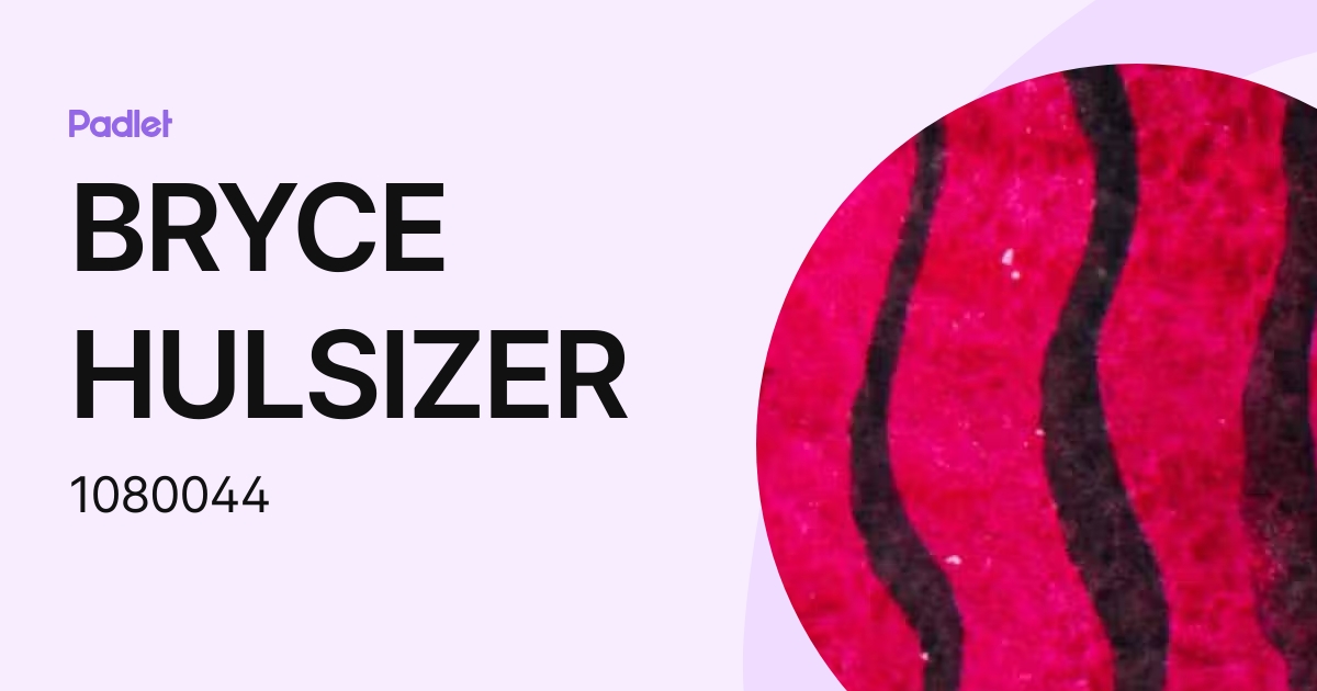 BRYCE HULSIZER (1080044) profile | Padlet