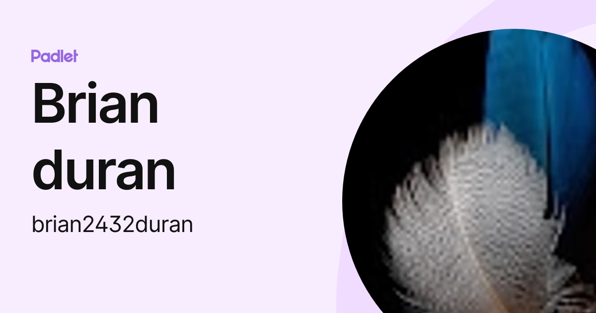 Brian duran (brian2432duran) profile | Padlet