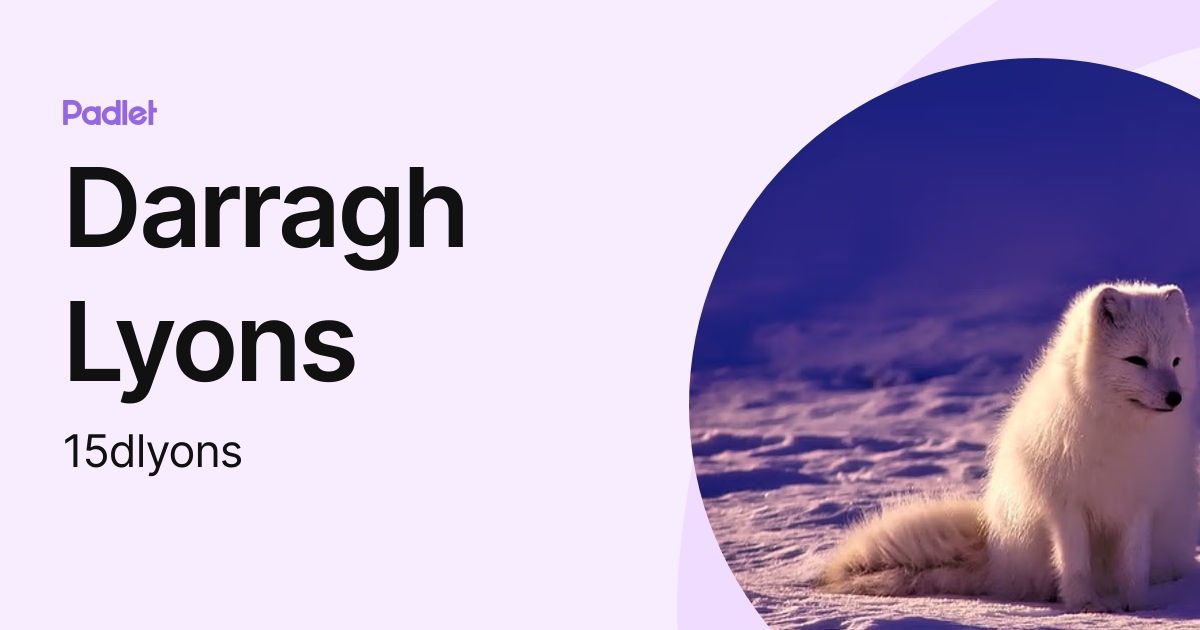 Darragh Lyons (15dlyons) profile | Padlet