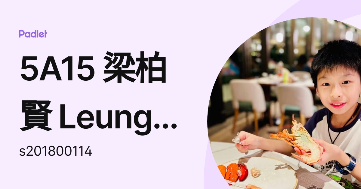 5A15 梁柏賢 Leung Pak Yin (s201800114) profile | Padlet