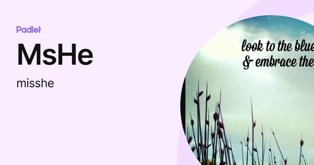MsHe (misshe) profile | Padlet