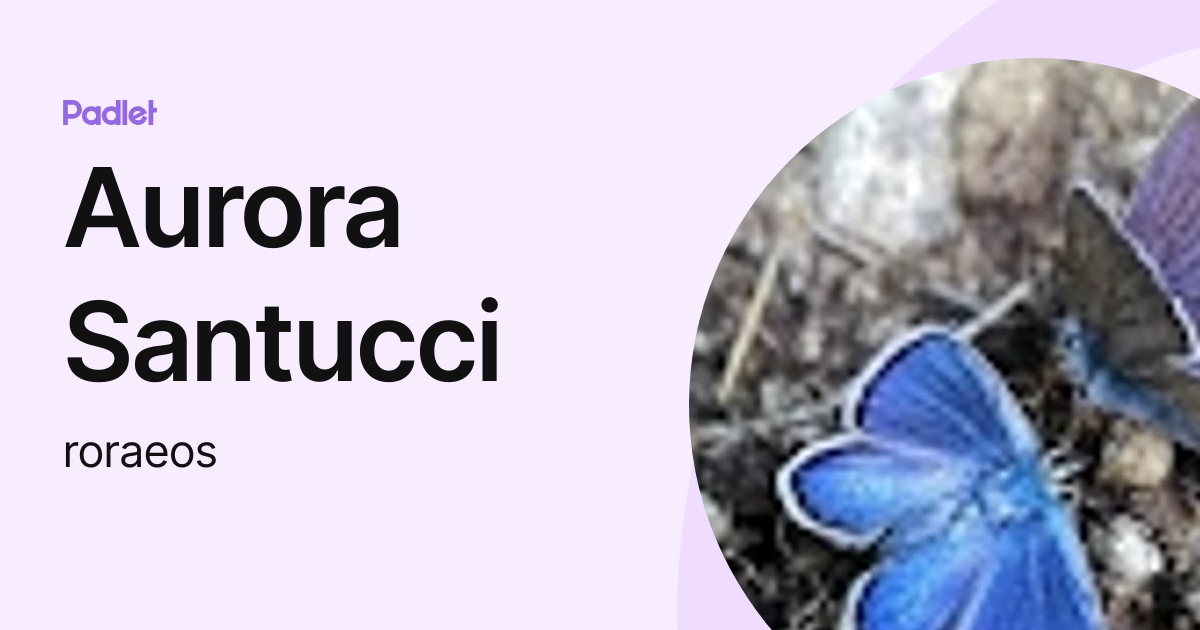 Aurora Santucci (roraeos) profile | Padlet