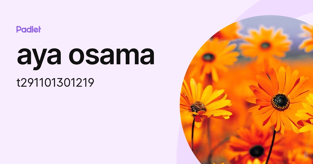 aya osama (t291101301219) profile | Padlet