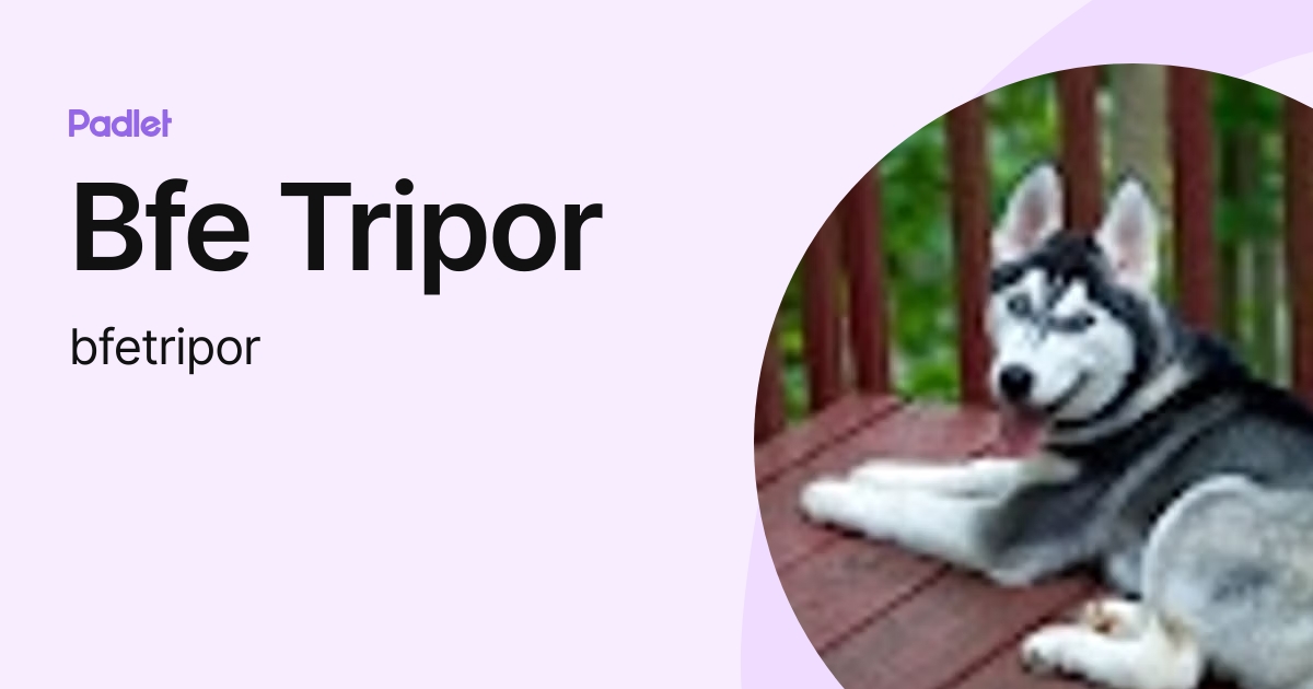 Bfe Tripor (bfetripor) profile | Padlet