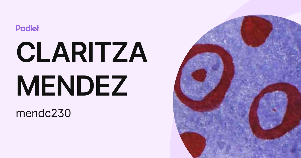 CLARITZA MENDEZ (mendc230) profile | Padlet