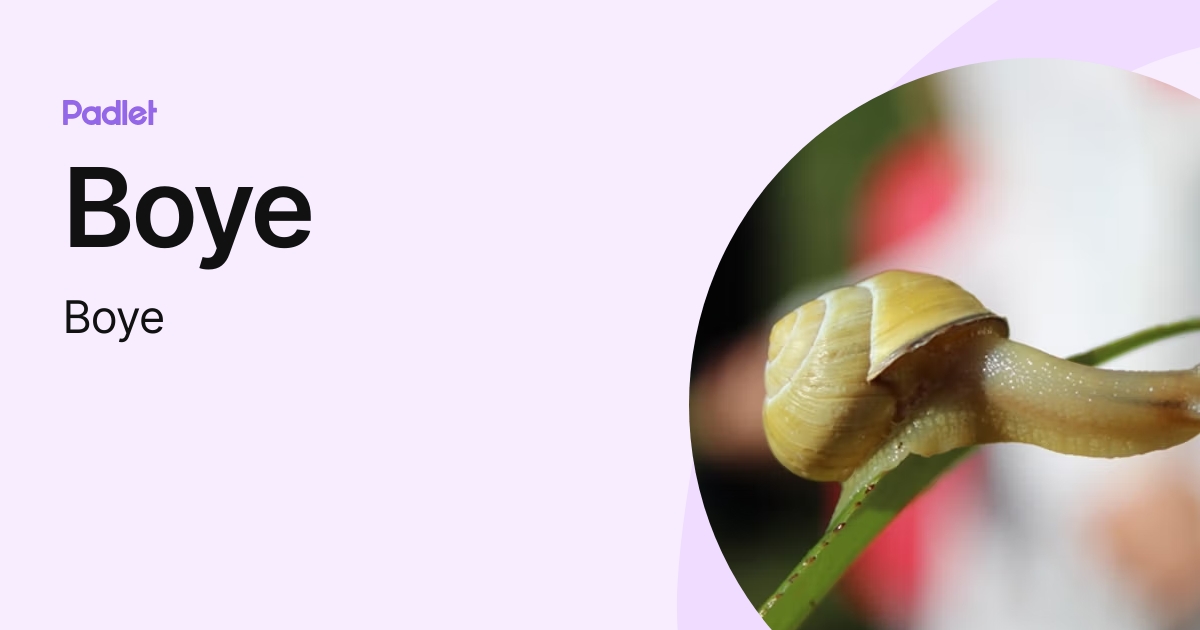 Boye (Boye) profile | Padlet