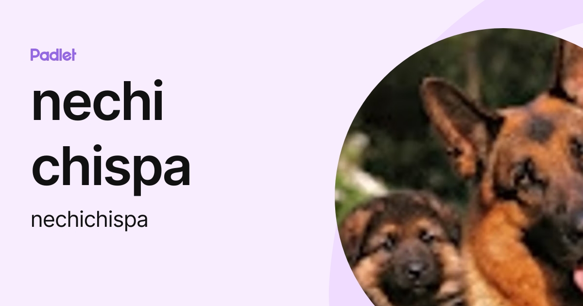 nechi chispa (nechichispa) profile | Padlet