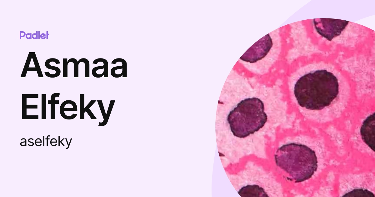 Asmaa Elfeky (aselfeky) profile | Padlet