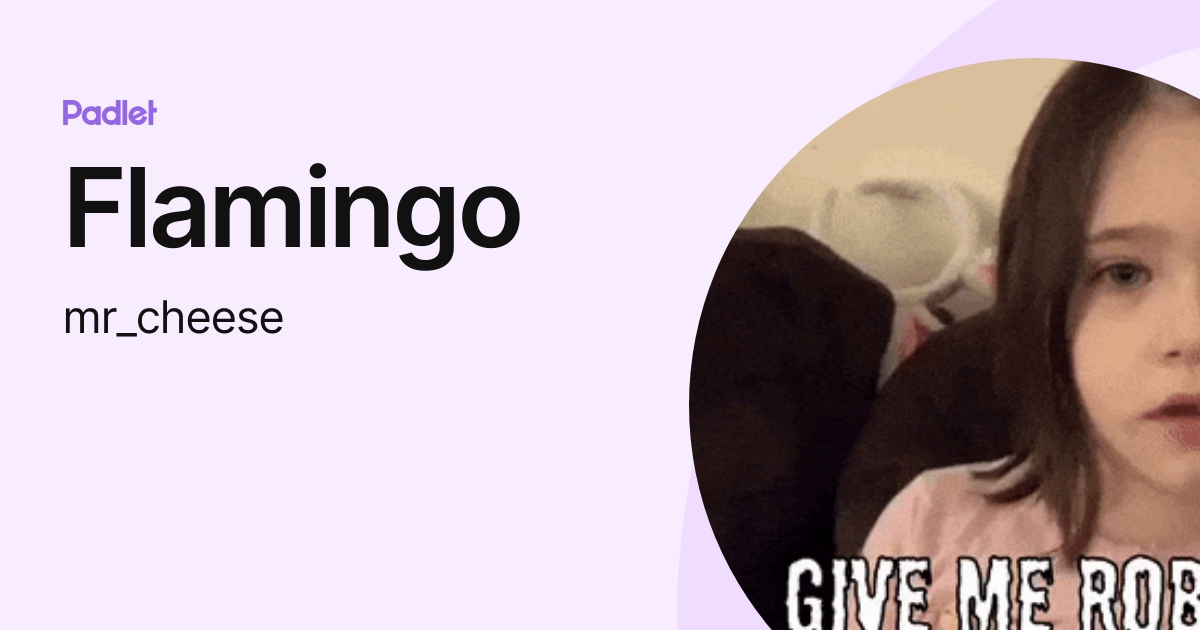 Flamingo (mr_cheese) profile | Padlet