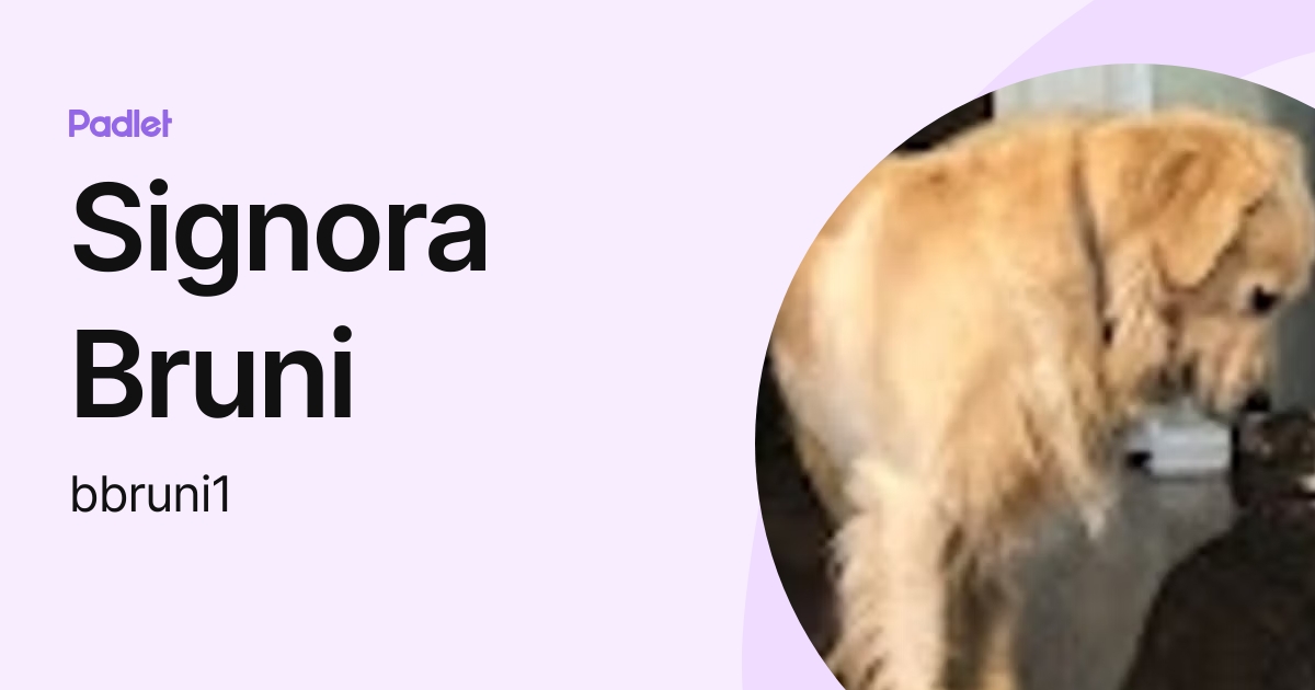 Brenda Bruni (bbruni1) profile | Padlet