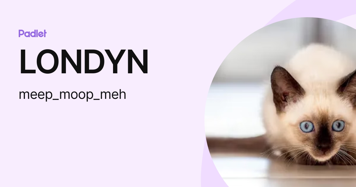 LONDYN (meh_meep) profile | Padlet