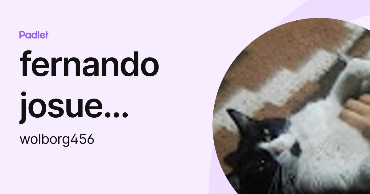 fernando josue fernandez pinto (wolborg456) profile | Padlet