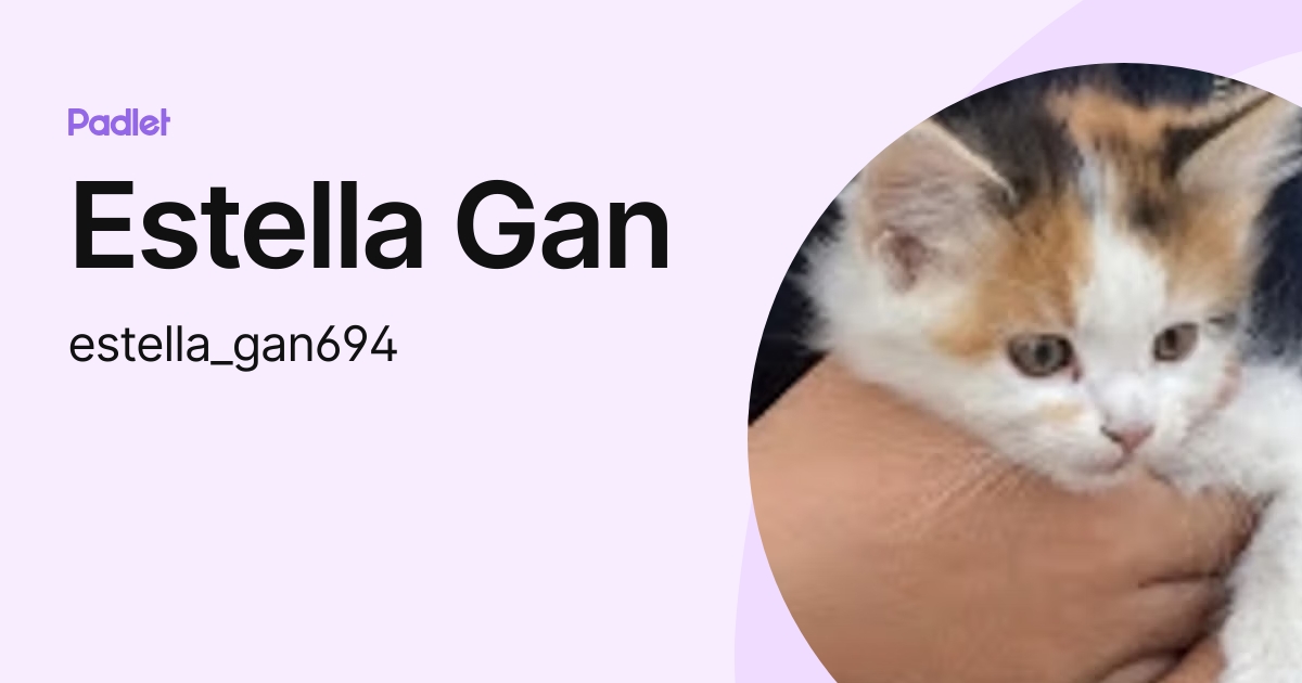 Estella Gan (estella_gan694) profile | Padlet