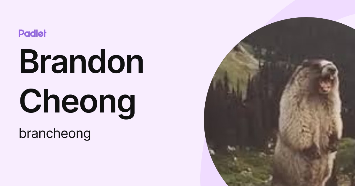 Brandon Cheong (brancheong) profile | Padlet