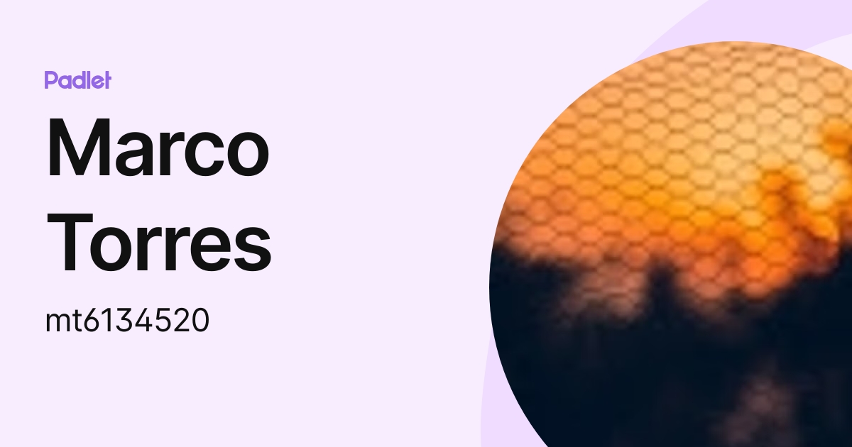 Marco Torres (mt6134520) profile | Padlet