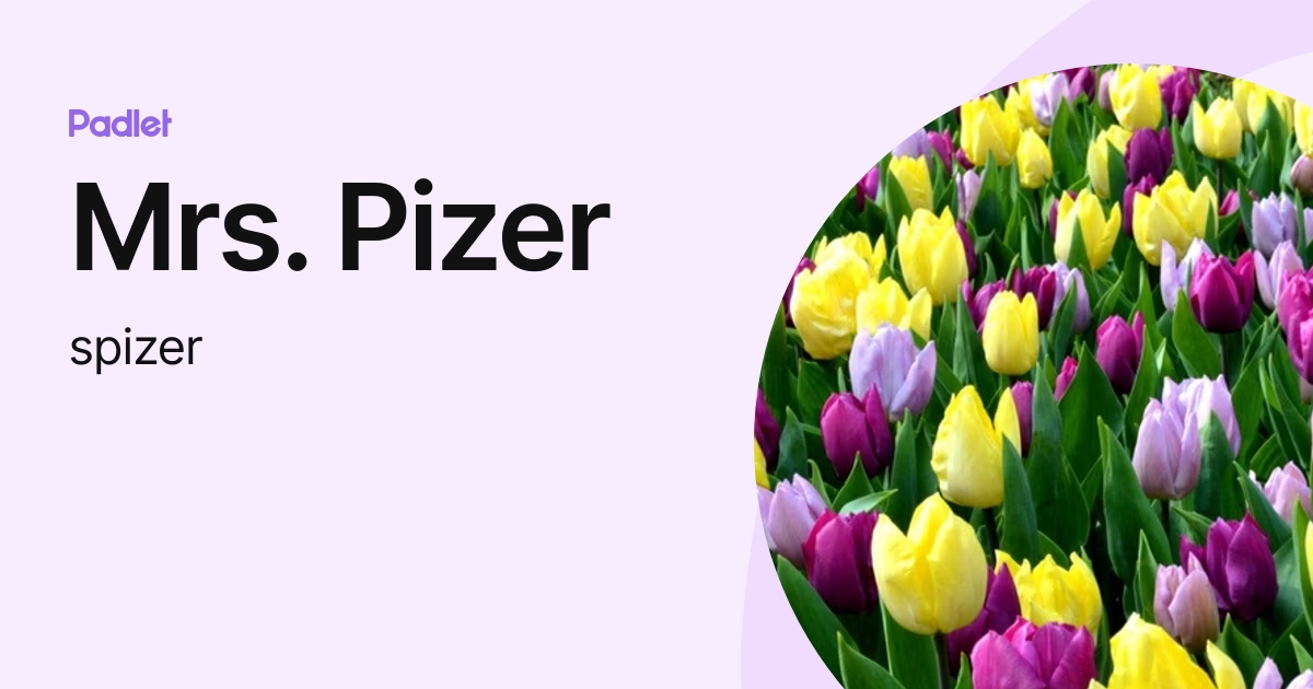 Mrs. Pizer (spizer) profile | Padlet