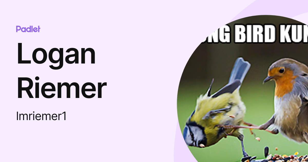 Logan Riemer (lmriemer) profile | Padlet