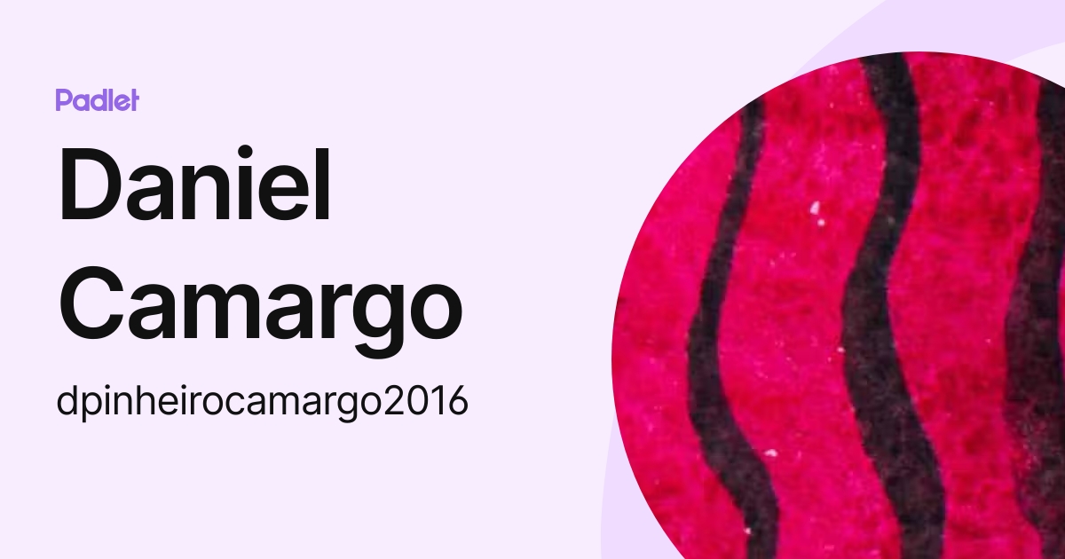 Daniel Camargo (dpinheirocamargo2016) profile | Padlet